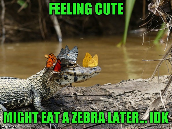 Throwback meme! - Imgflip