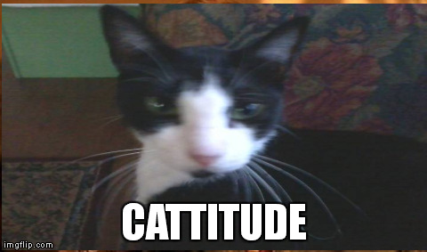 One Does Not Simply Meme - Imgflip