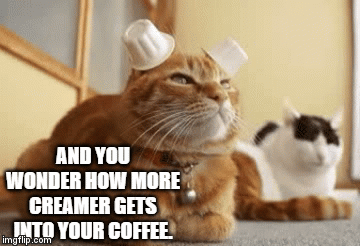 How Creamer gets into your coffee. - Imgflip