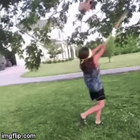 When You Swat a Bee and It Stings Ya - Imgflip