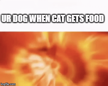Communist dog - Imgflip