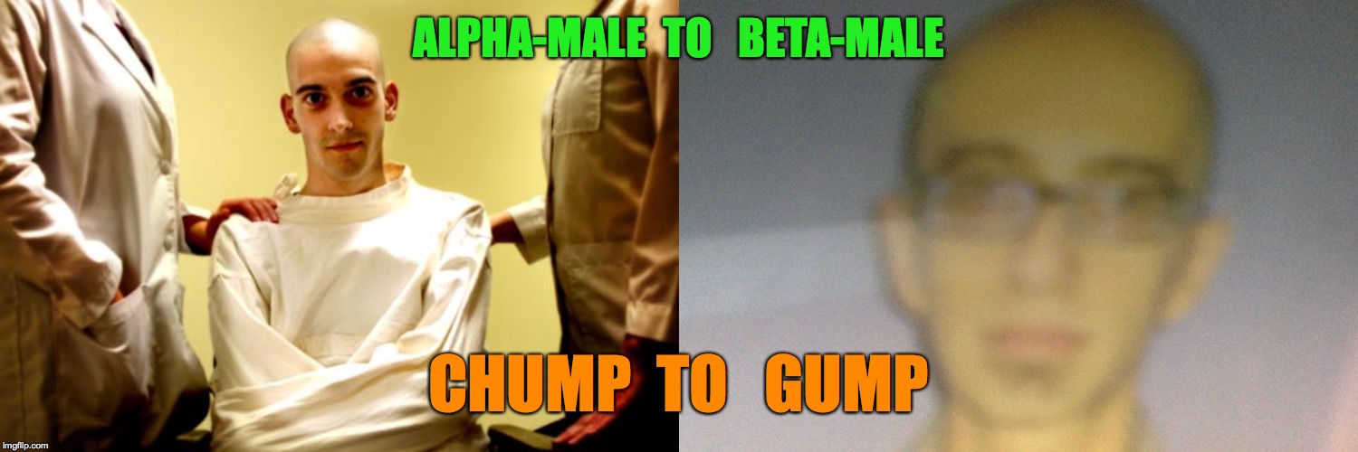 politics beta-male Memes & GIFs - Imgflip
