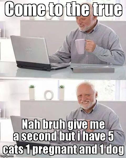 Guy Correction Memes
