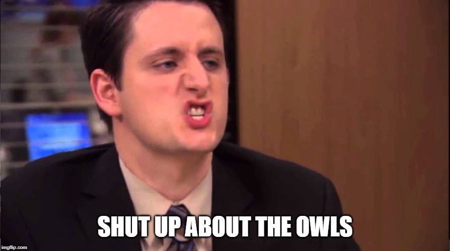 Sir, the owls are back - Imgflip