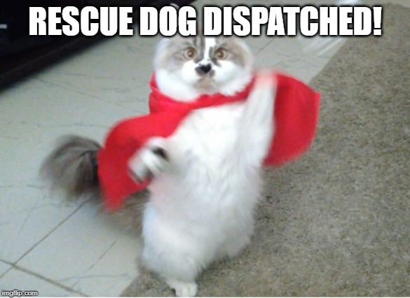 Dog Rescue Memes