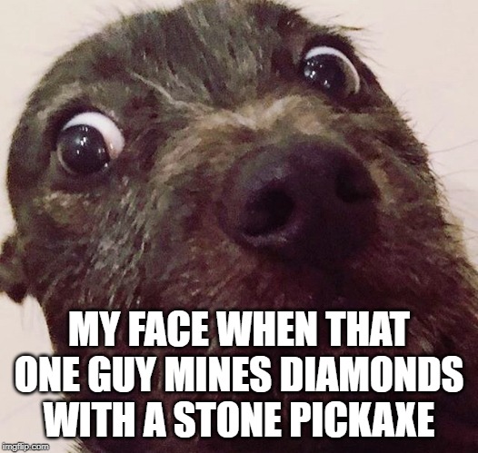 What the fudge dogg - Imgflip