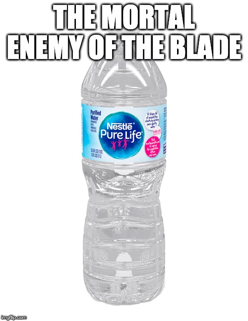 You've studied the blade your whole life... now is the time... - Imgflip