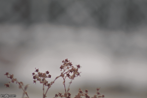 moving away while zooming in - Imgflip