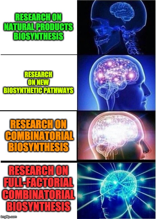 Pathways Memes Perfect Spots 😁 Follow @patnamemes__ For More.