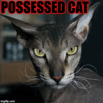 possessed - Imgflip