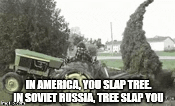 Tree slap u - Imgflip