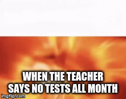 no tests!! - Imgflip