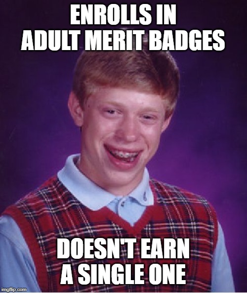Merit badges for grownups. I've earned 3 just today! ;) - Imgflip