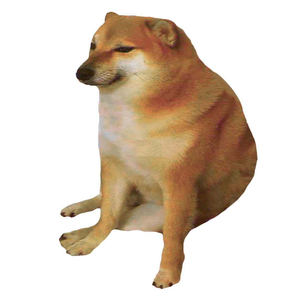 49 Doge Meme Template Cheems Png