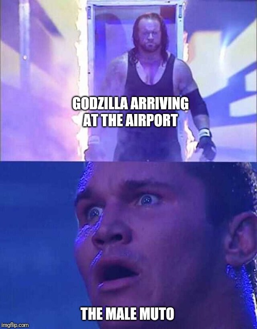 Randy Orton, Undertaker - Imgflip