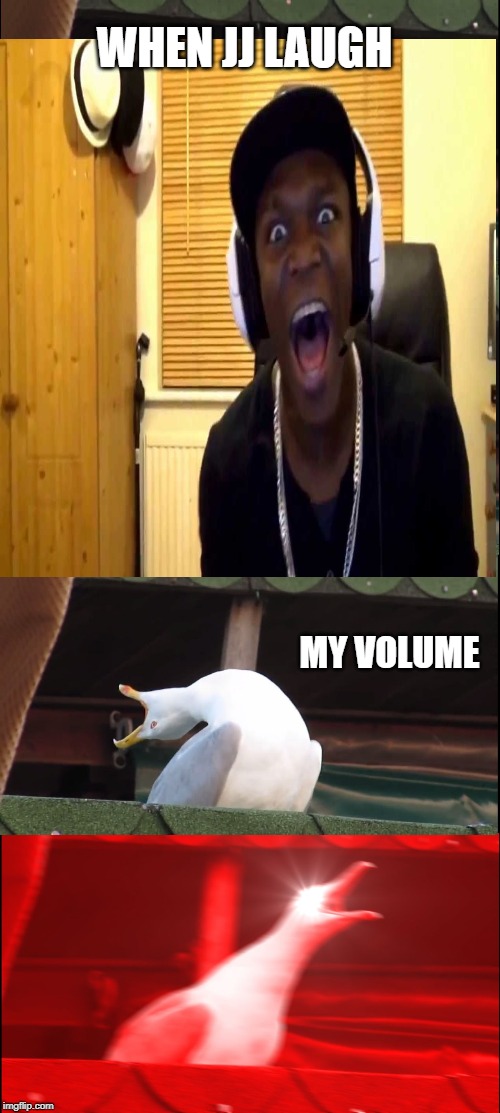 Inhaling Seagull Meme - Imgflip