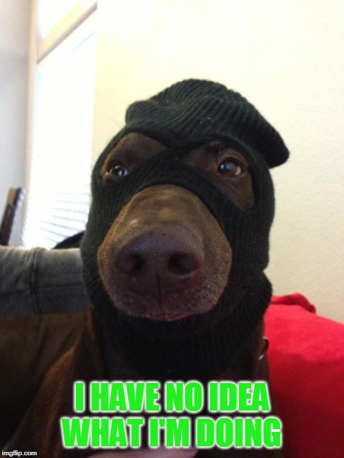 dog robber - Imgflip