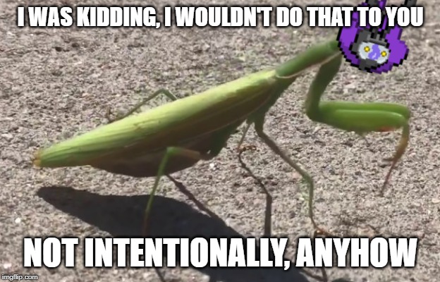 ain't nothin' more flammable than oil, partner! - Imgflip