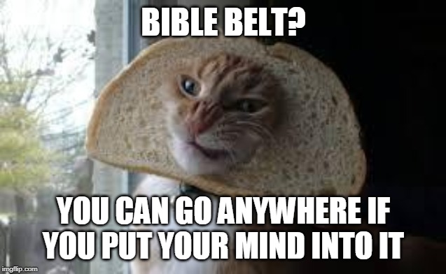 Cat Bread - Imgflip
