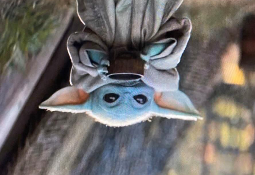 Not meme Blank Template - Imgflip