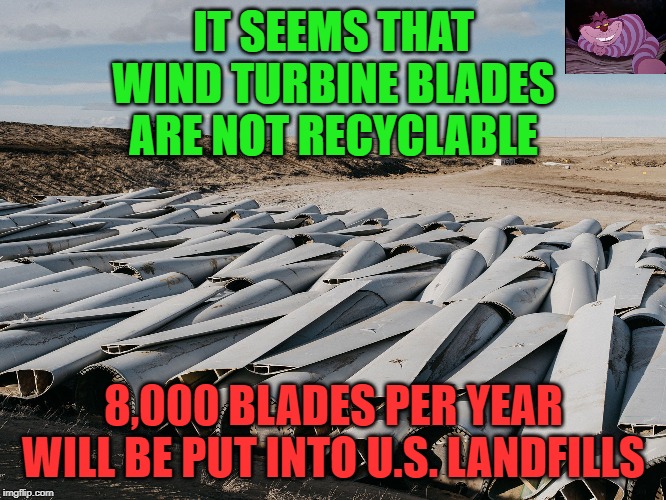 When you're not as "Green" as you say. - Imgflip