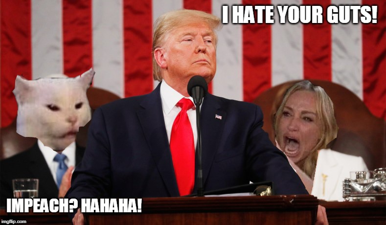SOTU 2020 Woman Yelling at Cat - 001 - Imgflip