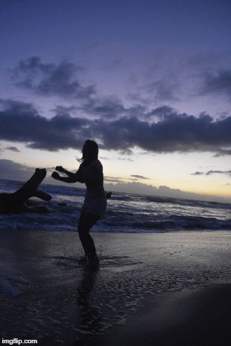 beach jumps - Imgflip