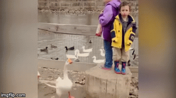 Rescue Us Pwease!!! - Imgflip