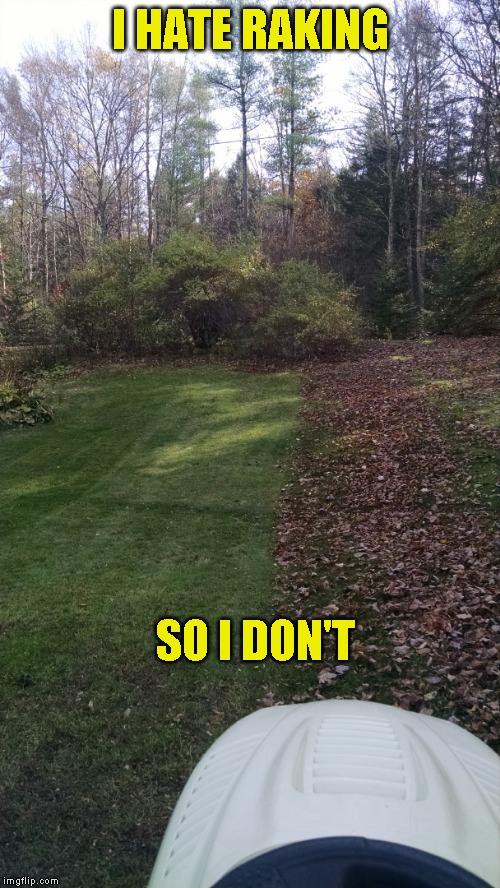 New England in the fall - Imgflip