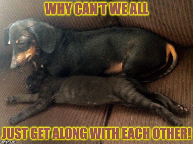 C’mon democrats and republicans! At least TRY to get along with each ...