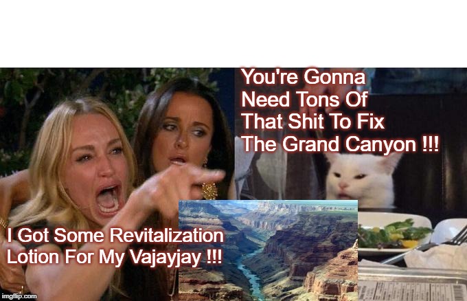Woman Yelling At Cat Meme - Imgflip