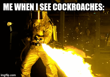 Burn the cockroaches!! - Imgflip
