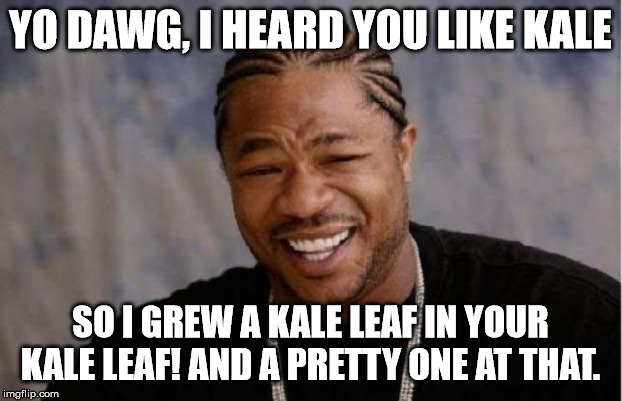 Yo Dawg Heard You Meme - Imgflip