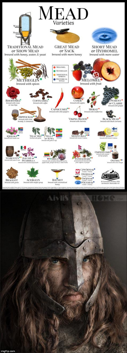 Image tagged in viking,mead - Imgflip