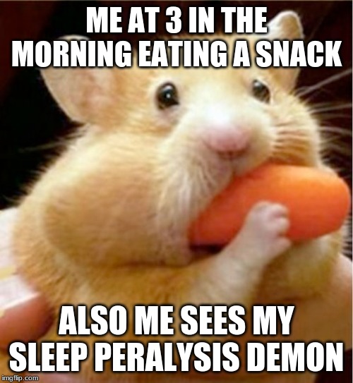 Hamster eats carrot mouthful - Imgflip