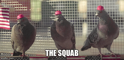 The Squab - Imgflip