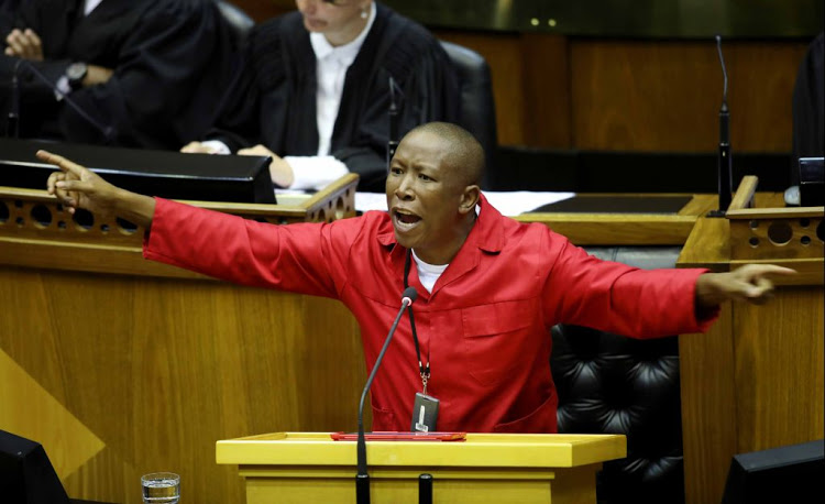 Malema Parliament Blank Template - Imgflip
