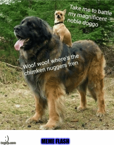 meme flash - Imgflip