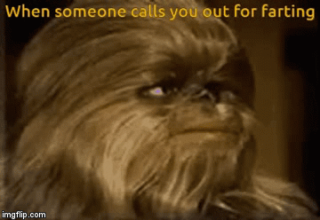 You little stinker. - Imgflip