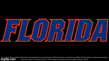 Let's Go Gators!!! - Imgflip