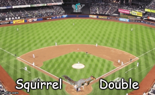 Squirrel Double - Imgflip