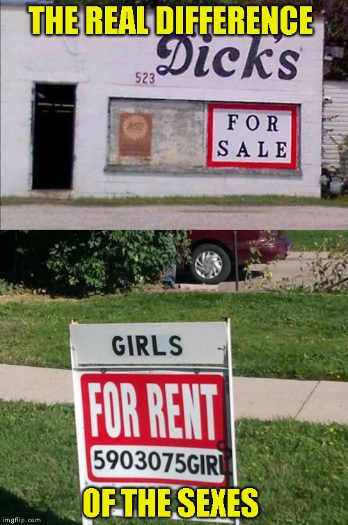 Guess which one is a better option? - Imgflip