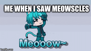 meow - Imgflip
