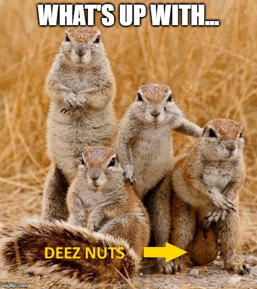 Deez Nuts Meme Free Large Images Deez Nuts Meme Free Large Images