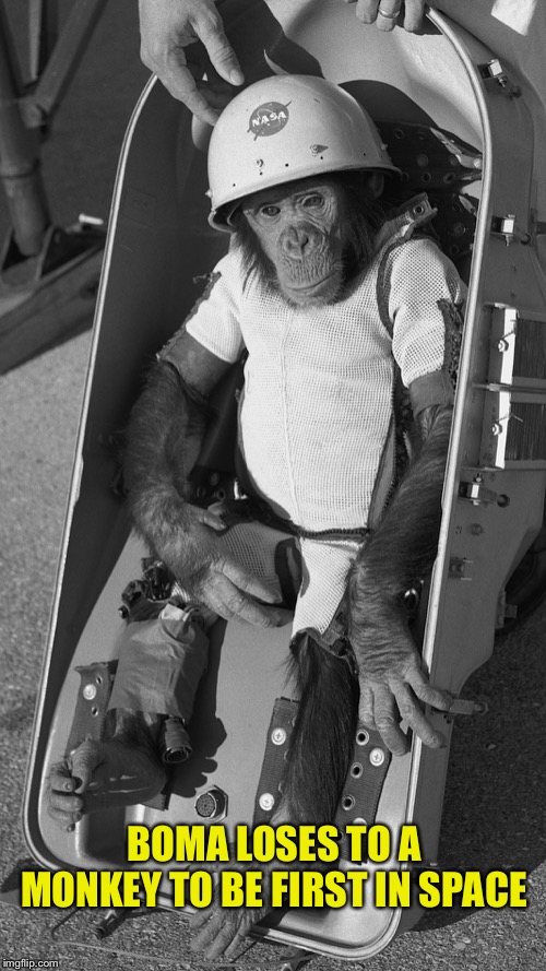 I even cheated on the test, but I still came in second - More moments ...