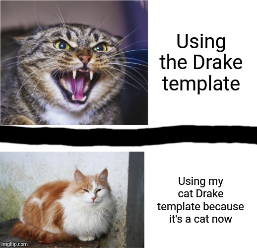 Image tagged in cat drake - Imgflip