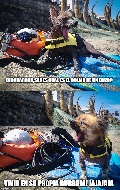 El Colmo Memes 101 Best Puns And Jokes In Spanish That'll Make You LOL