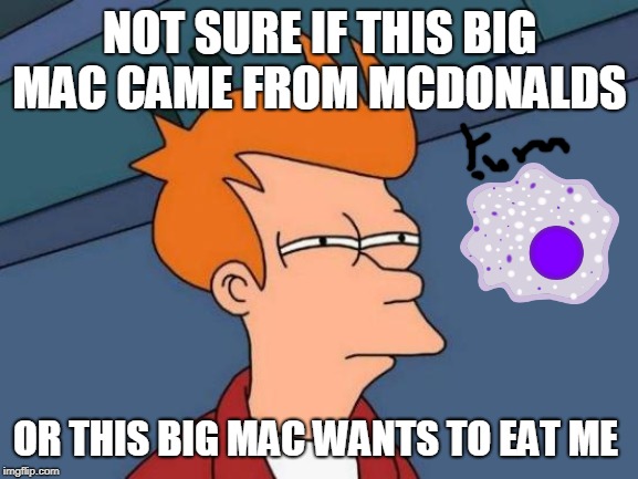 Big Mac?! - Imgflip