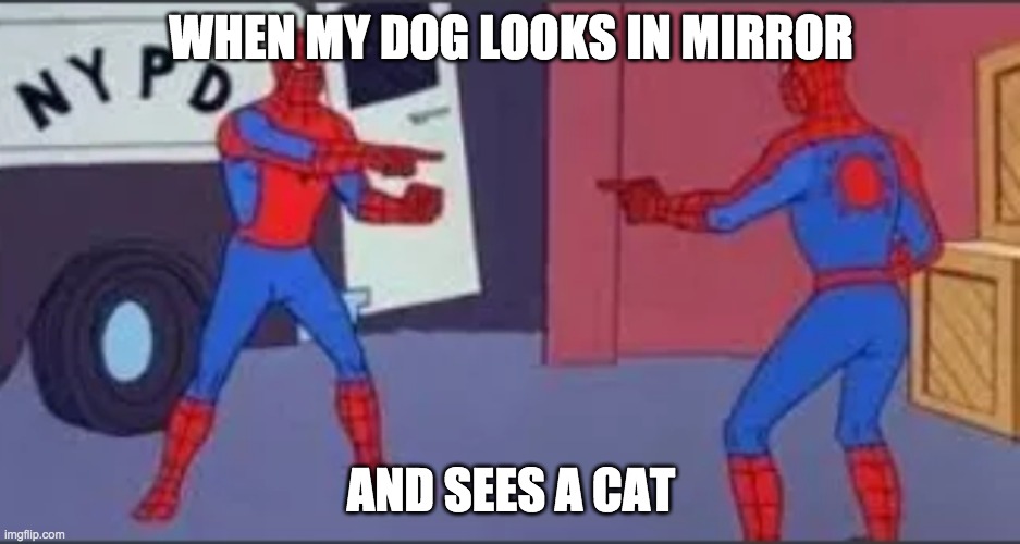 no u - Imgflip