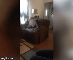 Partied Too Hard - Imgflip